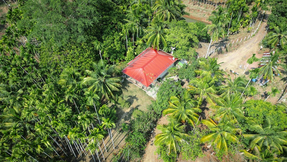 The Escape - Luxury Farm House Villa For Stay, Events, Picnic & More in ...